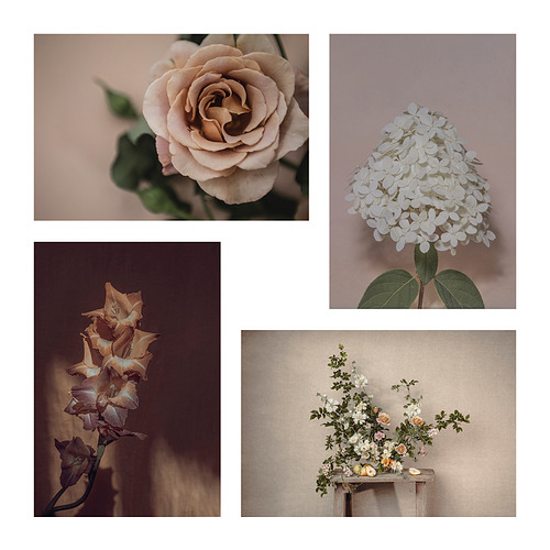 YLLEVAD art card, flowers-blooming, 10x15 cm | IKEA Indonesia